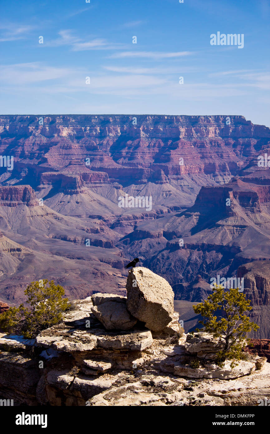 A view of the Grand Canyon from the South Rim Stock Photo - Alamy