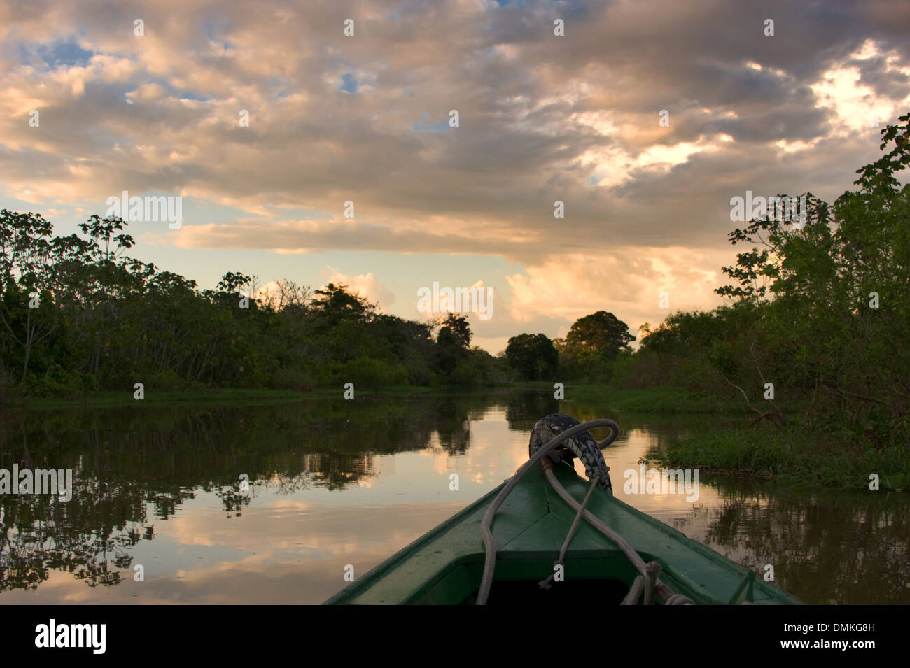 A small boat is sailing through the Amazon forest in Brazil at sunset ...