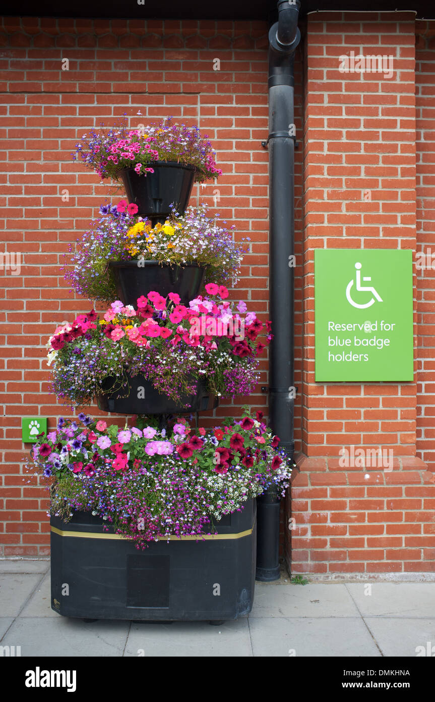 Flower display Waitrose supermarket Stock Photo - Alamy