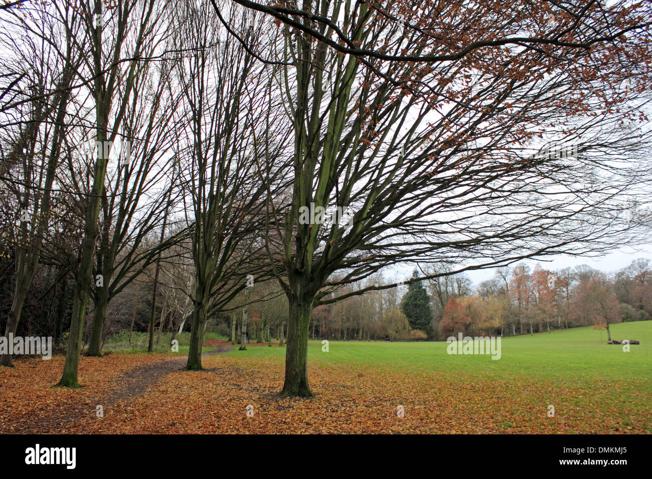 Cheam in London borough of Sutton, England, UK Stock Photo - Alamy