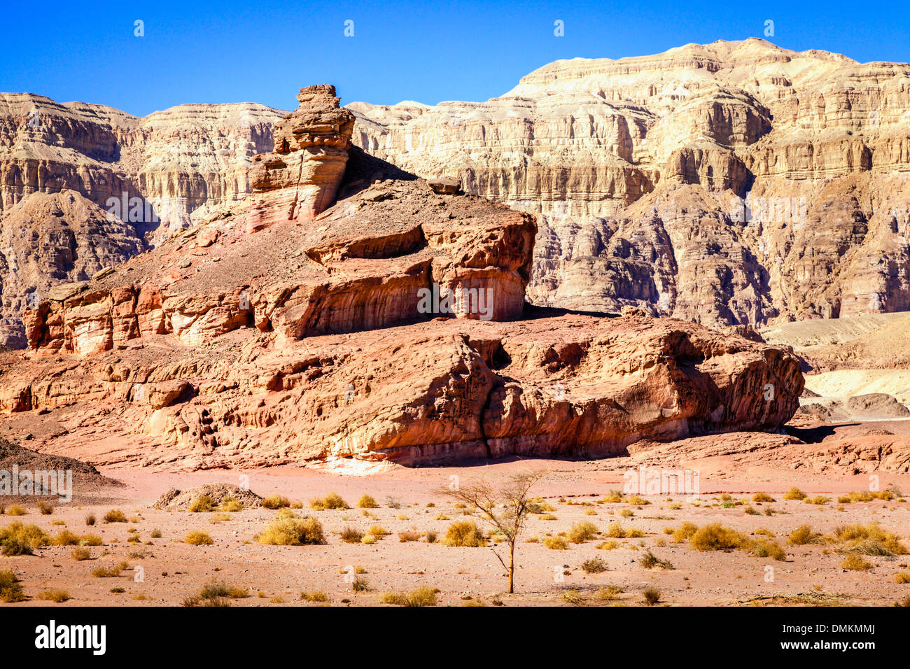Timna park israel hi-res stock photography and images - Alamy