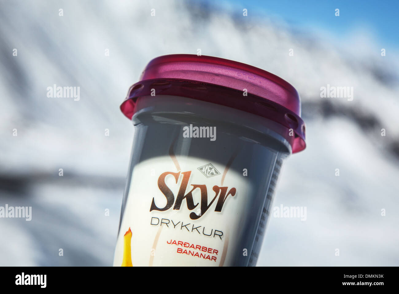 SKYR, ICELANDIC DAIRY SPECIALTY IN THE SAME FAMILY AS YOGURT, WESTERN ...