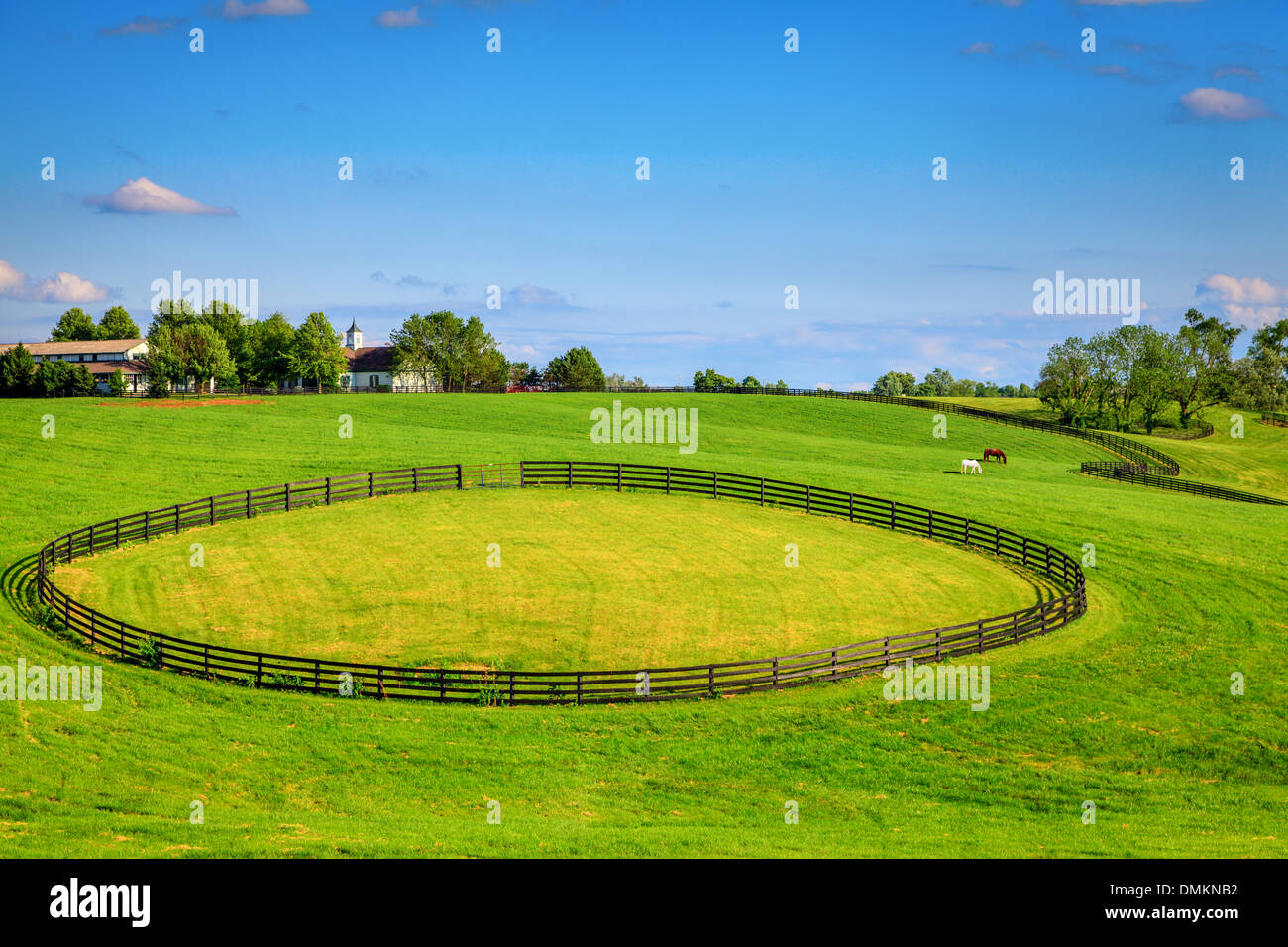 Horse farm with black wooden fences Stock Photo - Alamy