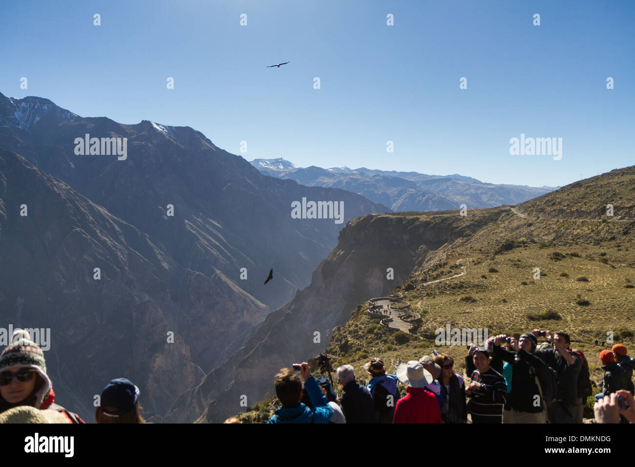 Cruz del Condor, Viewpoint at Colca Canyon, Peru Stock Photo - Alamy