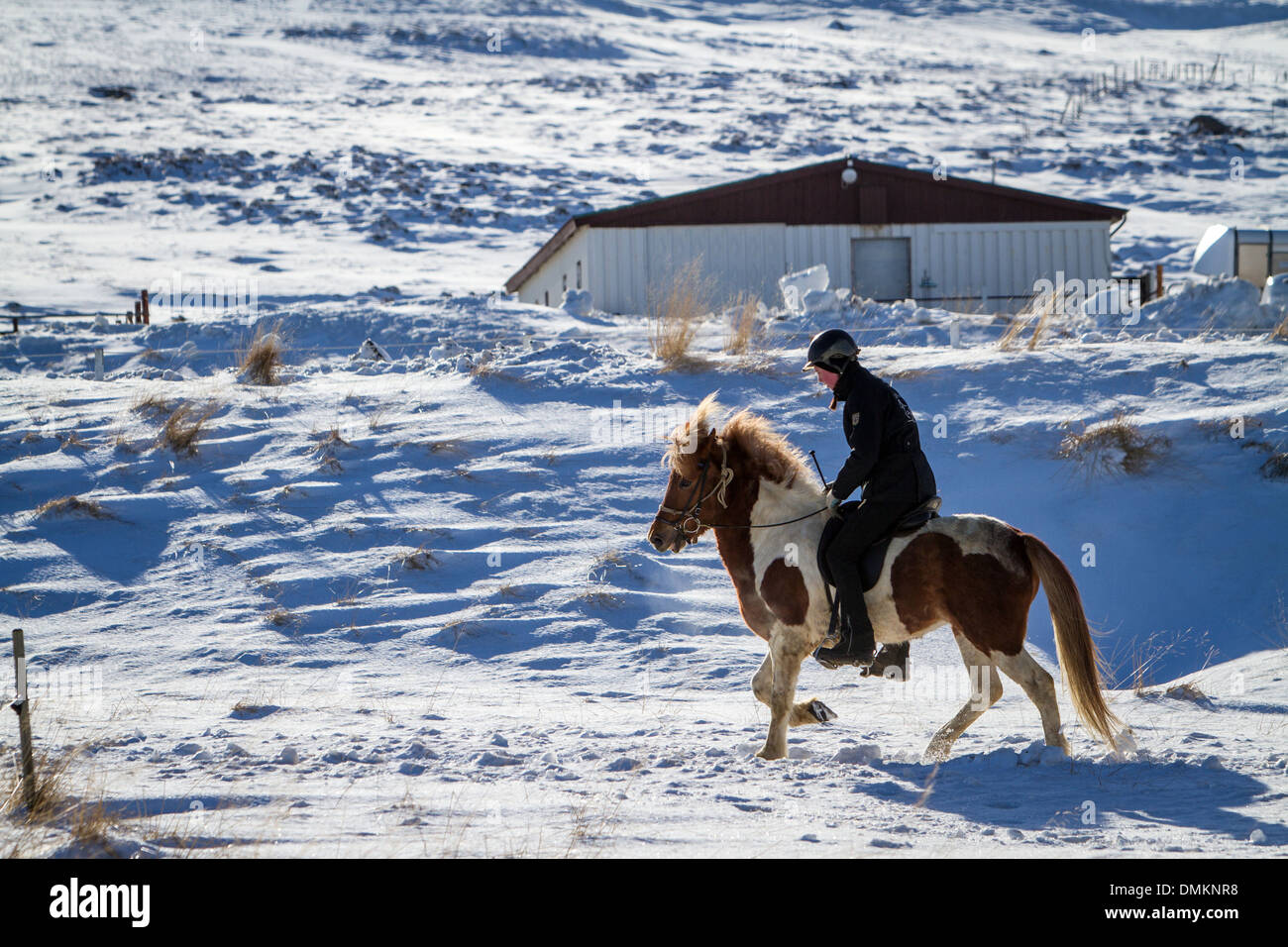 Horse rider on horseback or mounted hi-res stock photography and images ...
