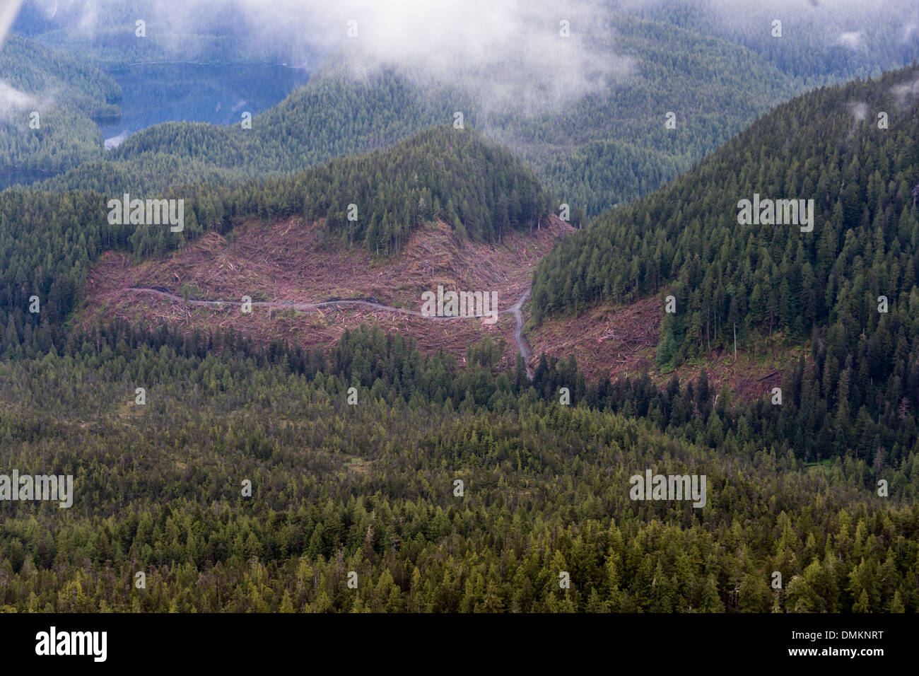 Logging road and clear cut above Grenville Channel, mid-coast British ...