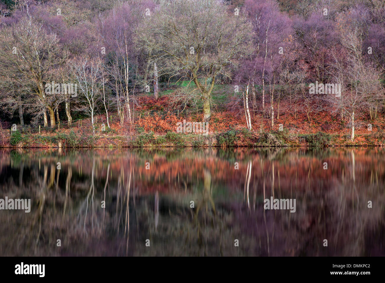 Relect hi-res stock photography and images - Alamy