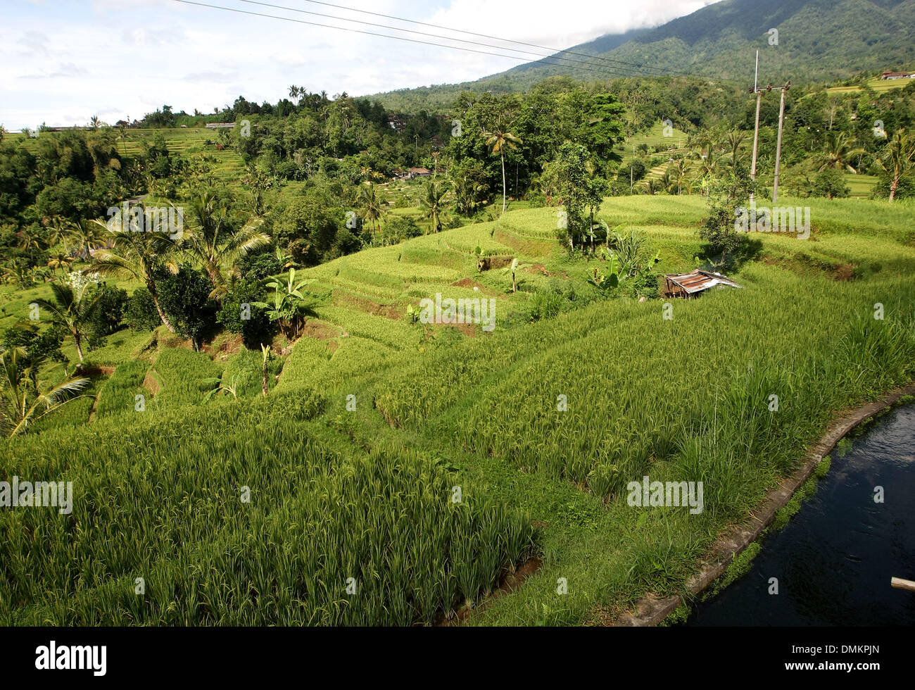 Subak world heritage hi-res stock photography and images - Alamy