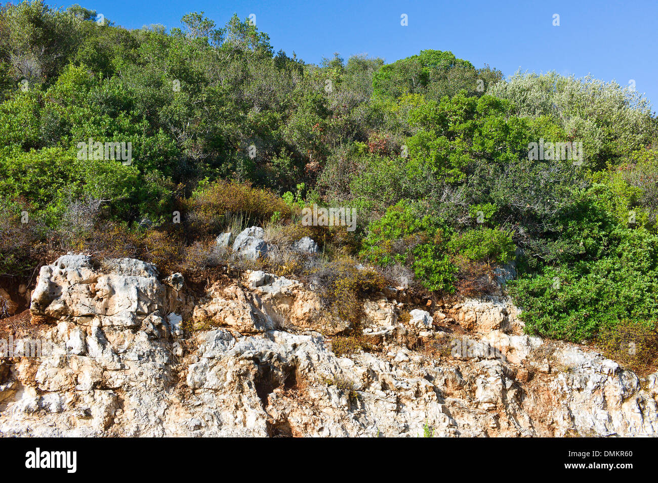 Vegetation Green Greece Stock Photos & Vegetation Green Greece Stock ...