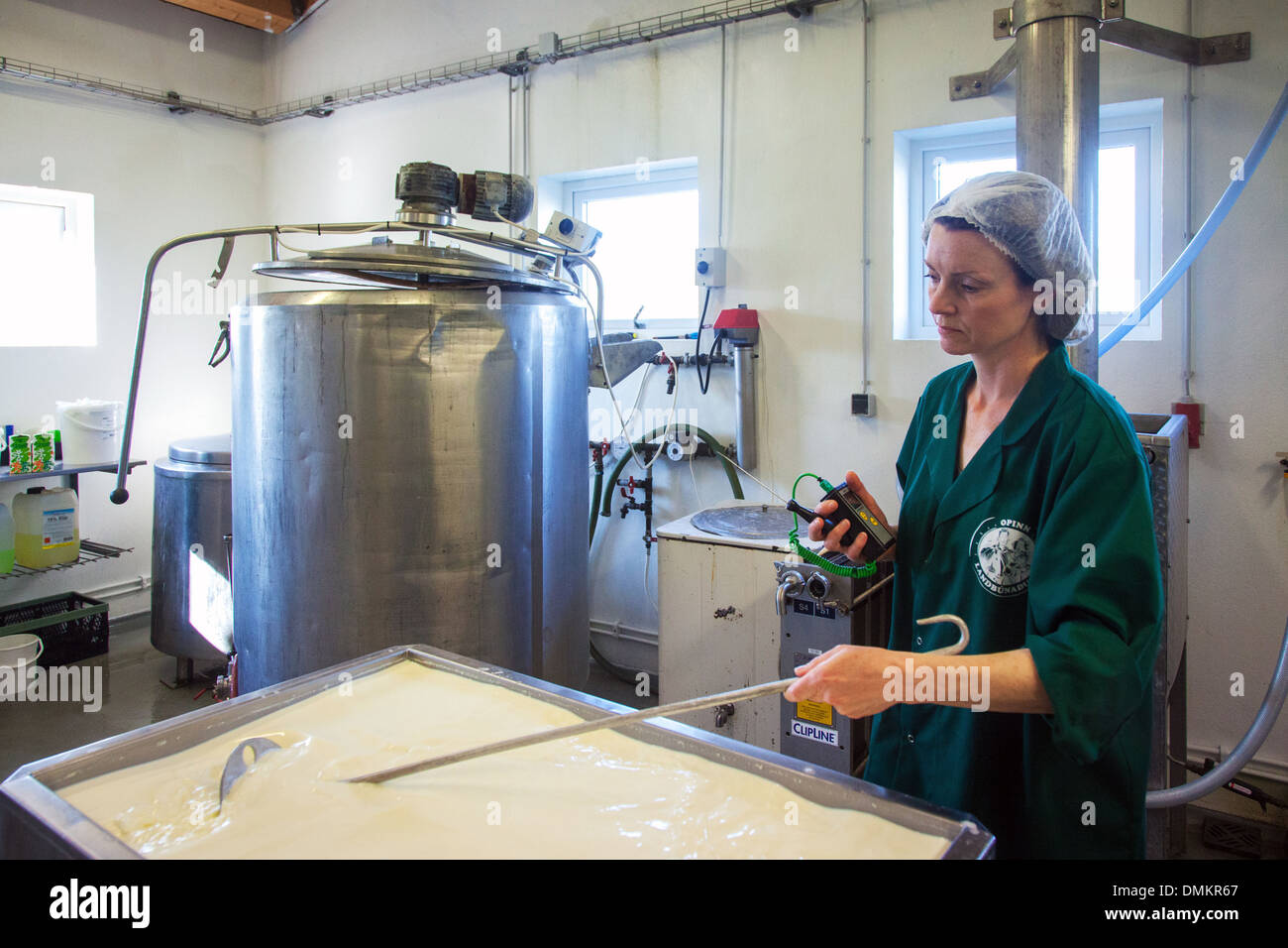 TRADITIONAL PRODUCTION OF SKYR, ICELANDIC CHEESE, ERPSSTADIR FARM ...