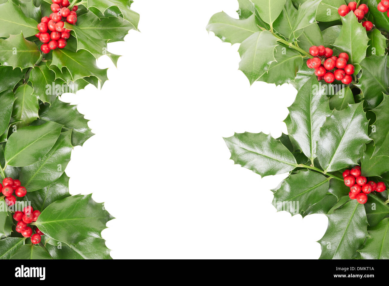 Christmas Holly Border