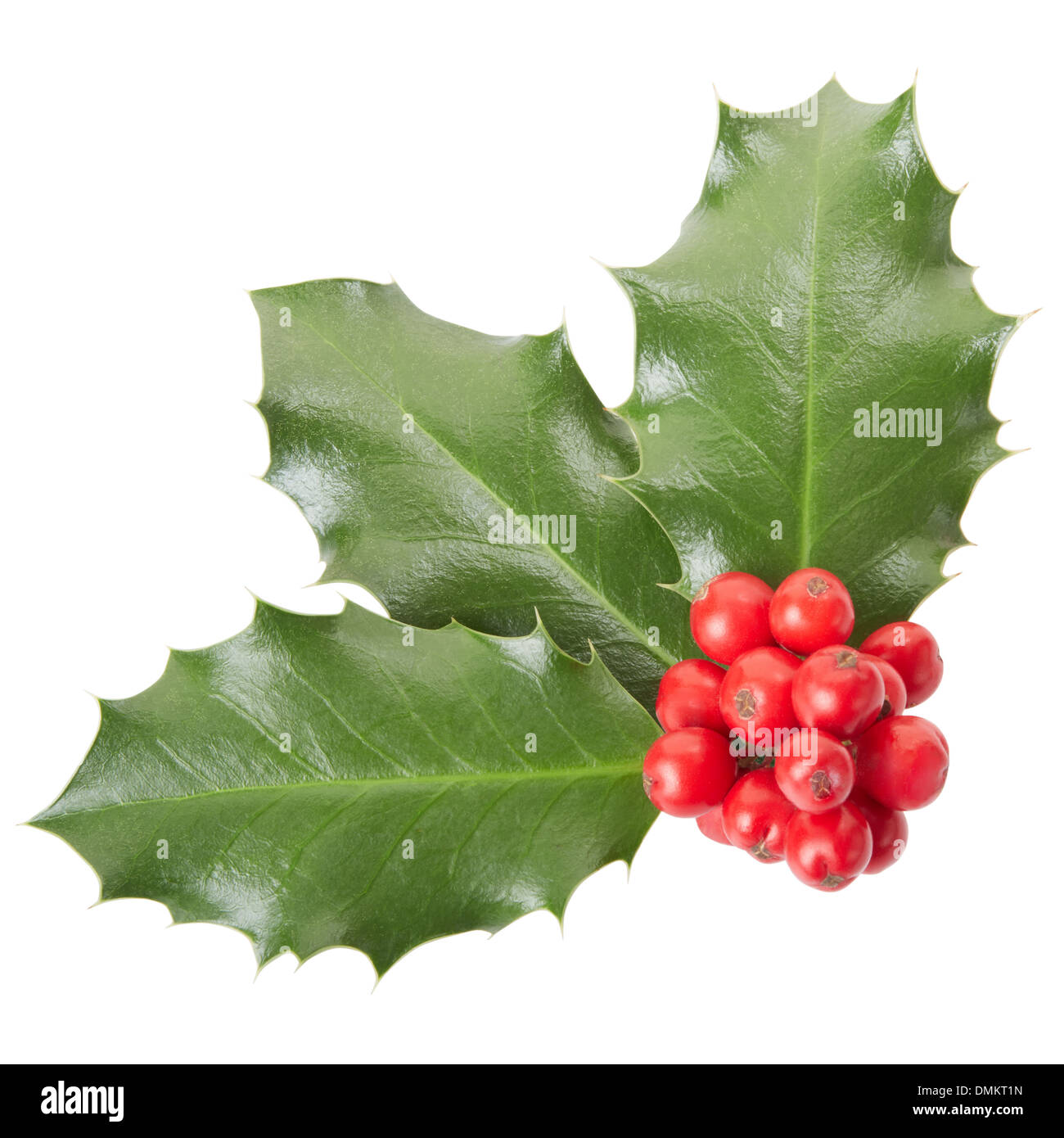 Festive red green christmas Cut Out Stock Images & Pictures - Alamy