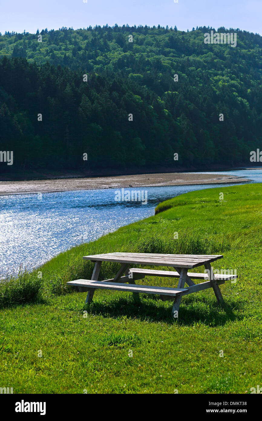 One wooden weathered picnic table on green grass beside a stream and ...