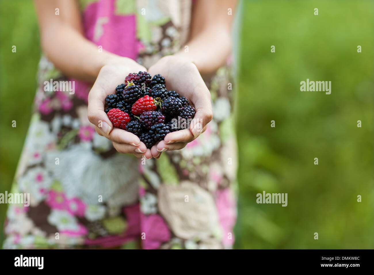 Blackberry in hand Stock Photo - Alamy