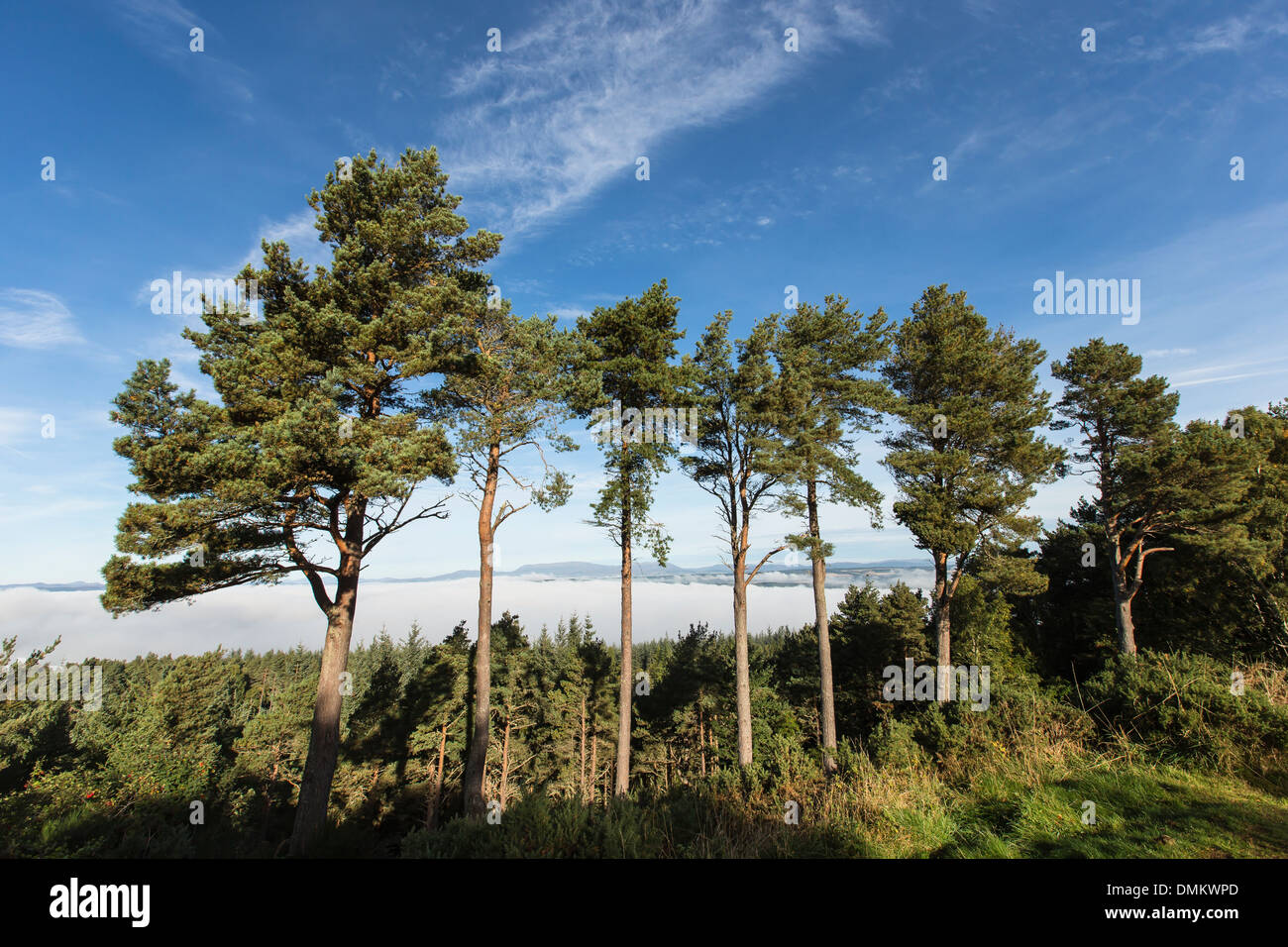 Pictish fort hi-res stock photography and images - Alamy