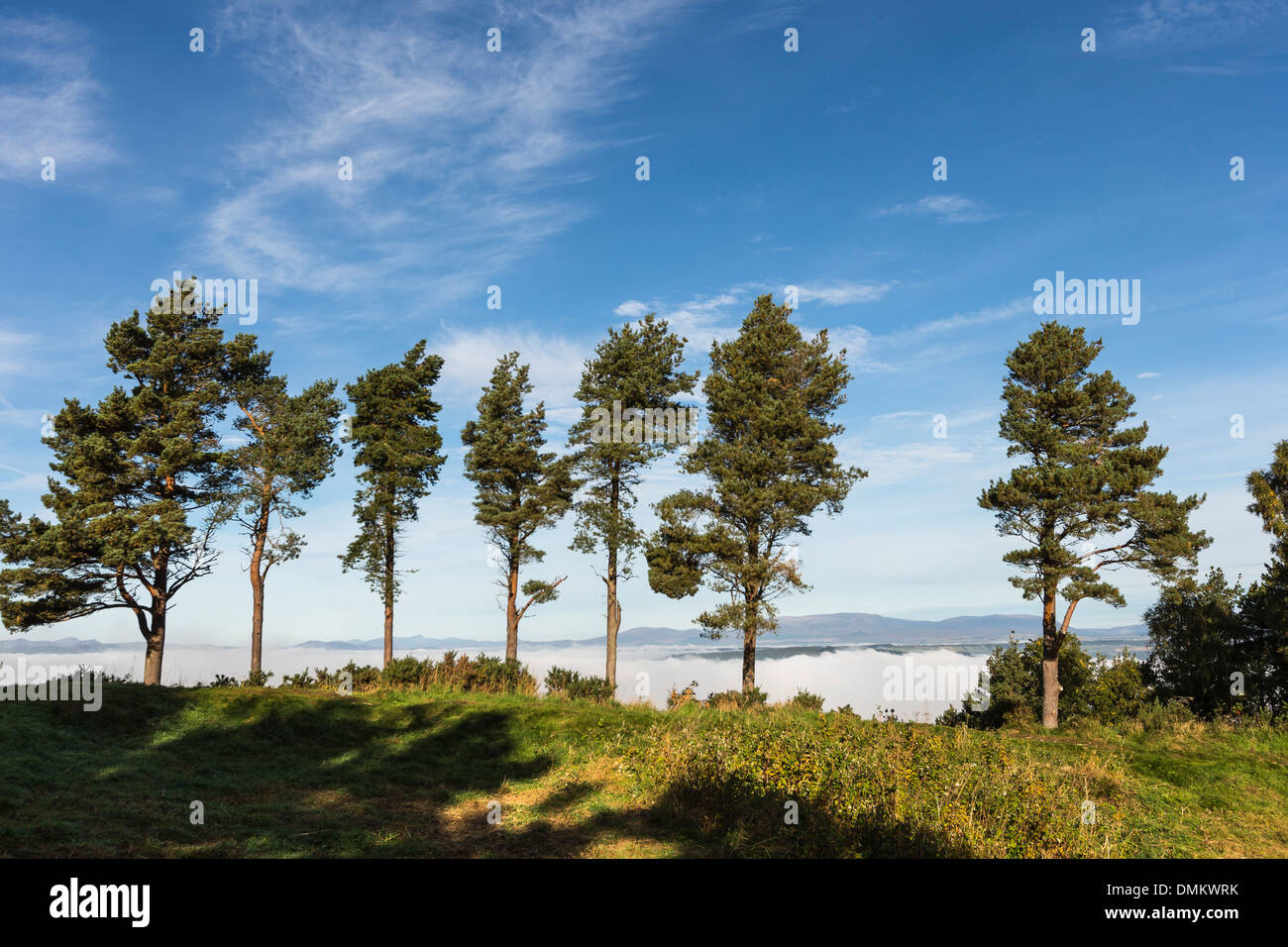 Site of Pictish Hillfort at Craig Phadrig in Inverness-shire,Scotland ...
