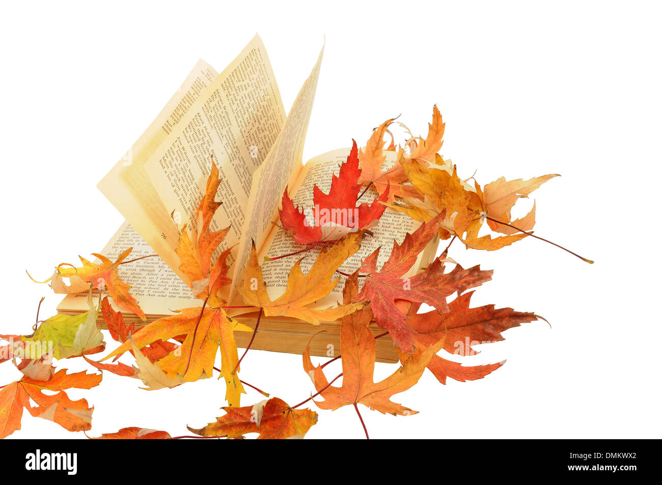 Book and leaves hi-res stock photography and images - Alamy