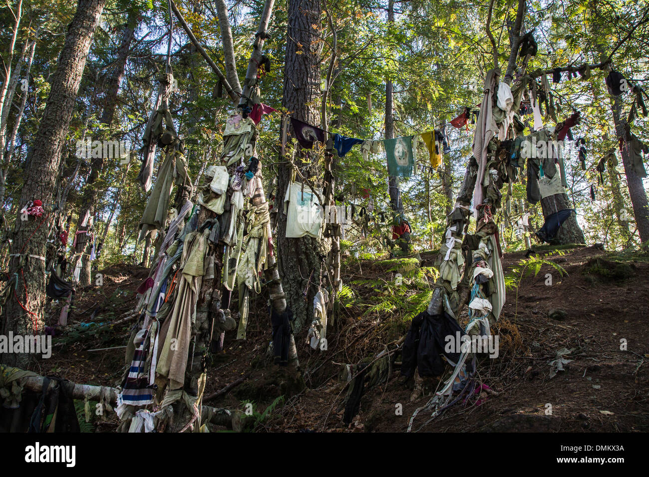 Clootie Well at Mundlochy on the Black isle in Scotland Stock Photo - Alamy
