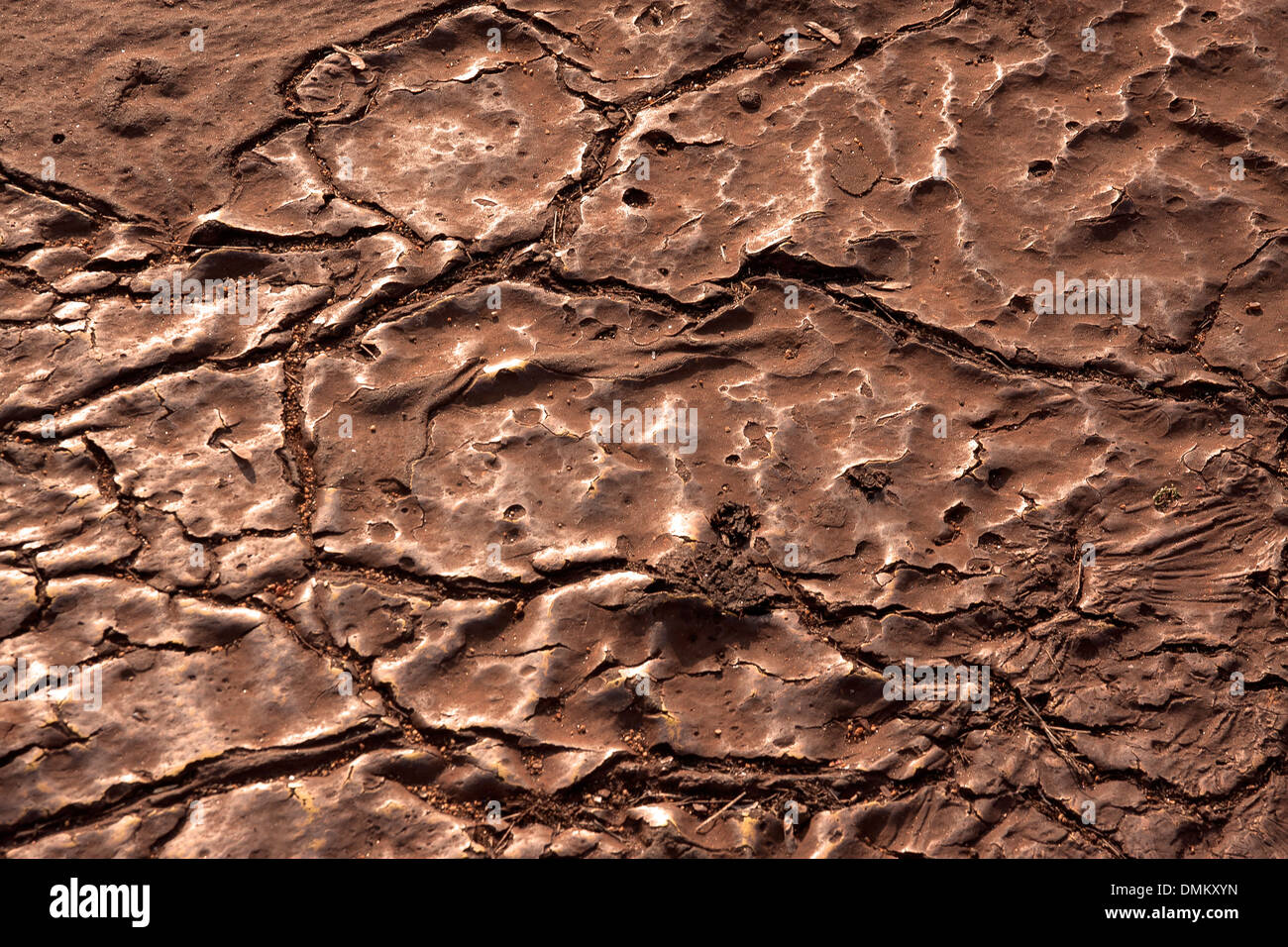 Brittleness Material