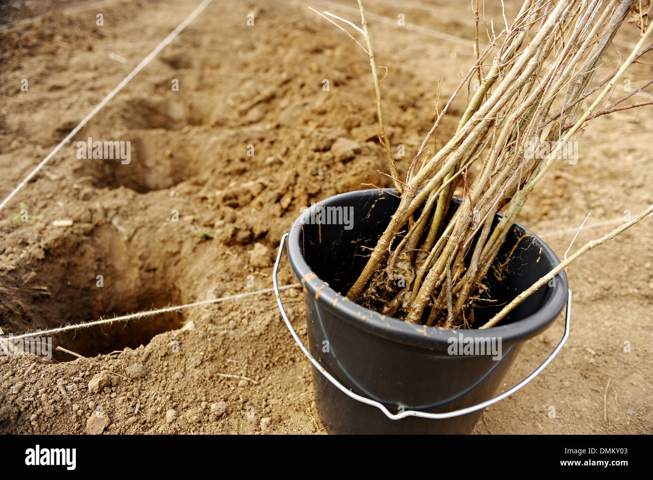 Plant a tree save the world hi-res stock photography and images - Alamy