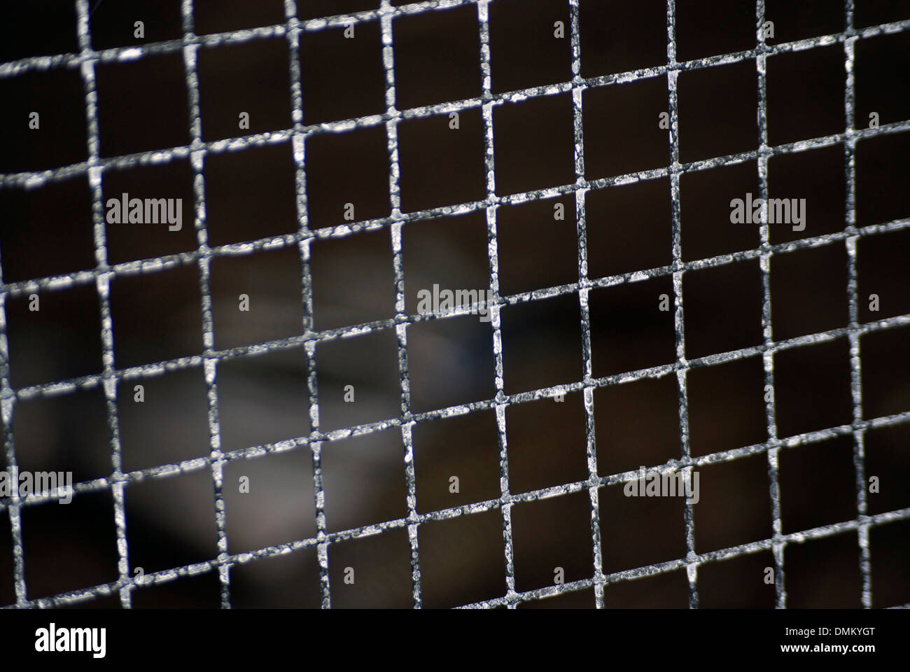 Metal cage or mesh Stock Photo - Alamy