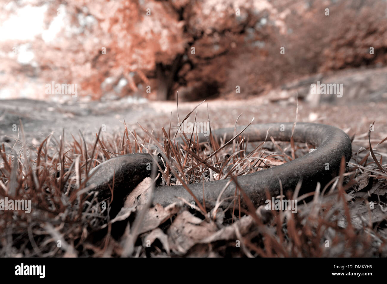 Marina chain. harbor. peaceful image. mooring. stable point Stock Photo ...
