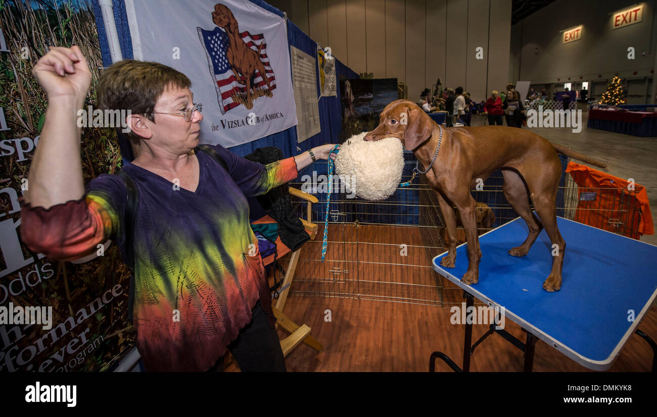 Orlando, Florida, USA. 15th Dec, 2013. DEBBIE BECKER plays with Markie ...