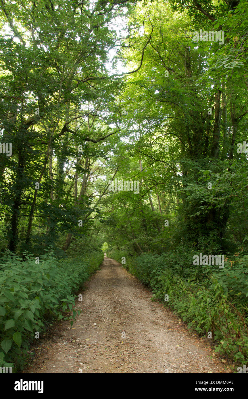 Converging paths hi-res stock photography and images - Alamy