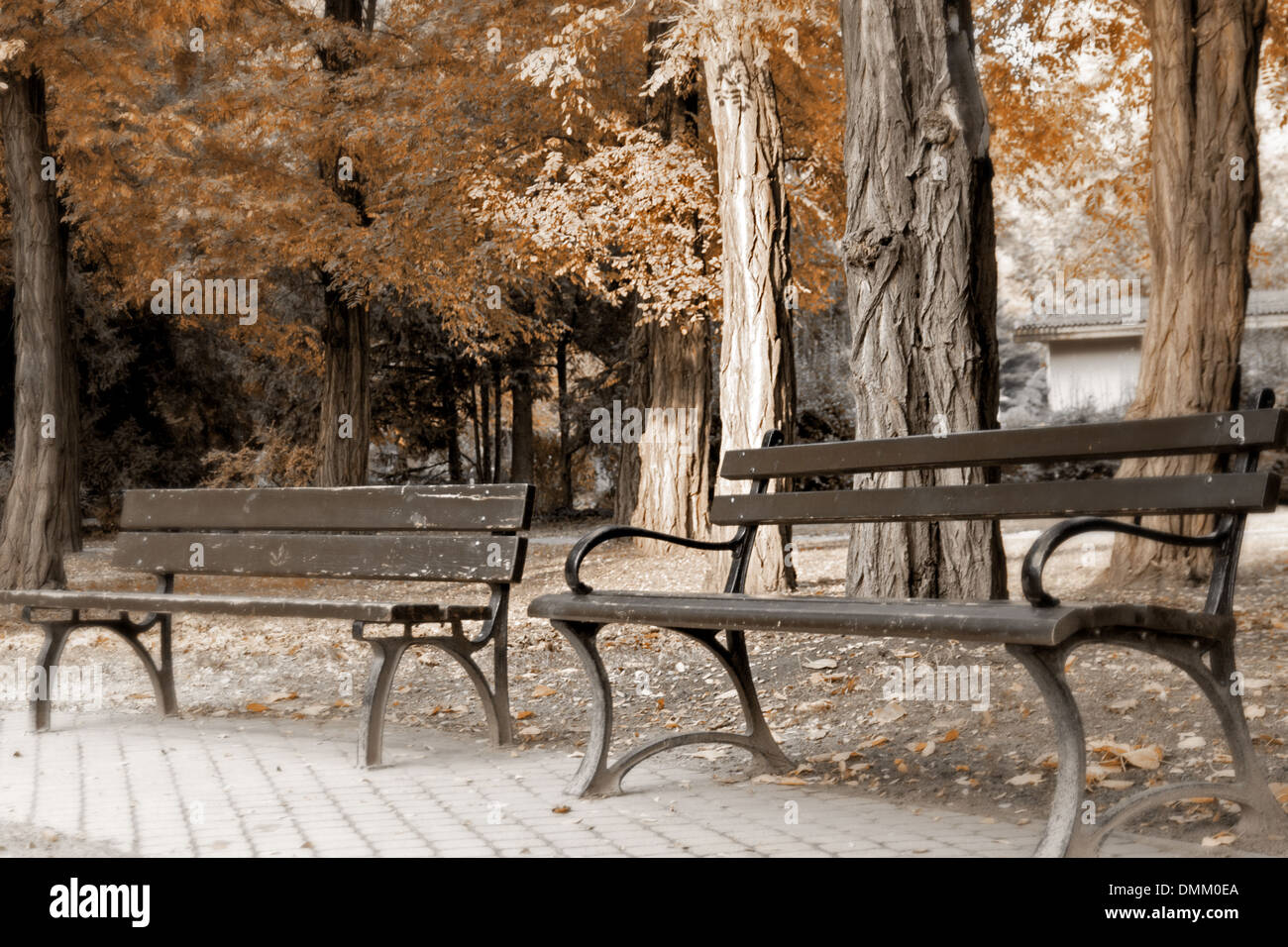 Still life with autumn. rest on the bench Stock Photo - Alamy