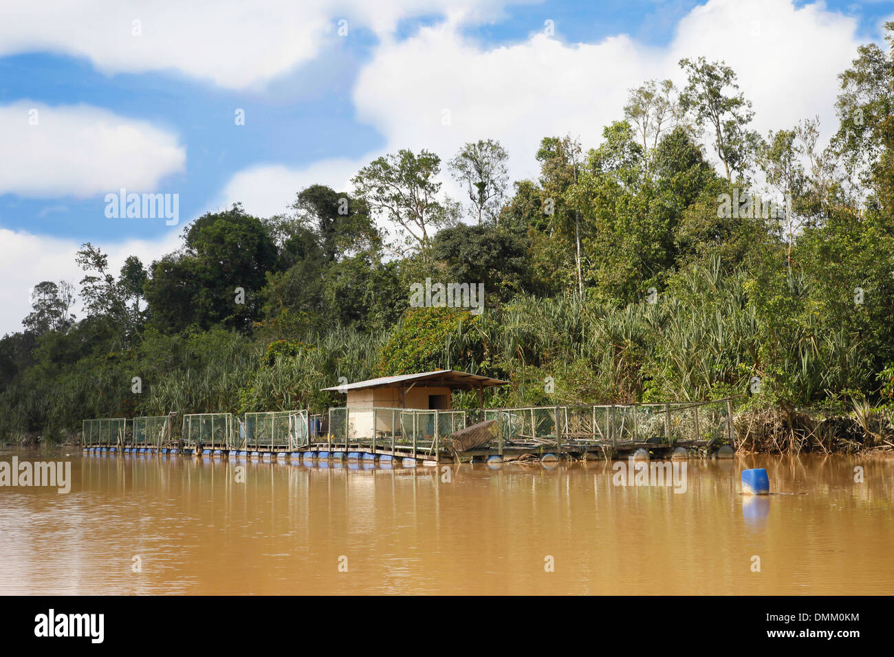 Prawn farm hi-res stock photography and images - Alamy