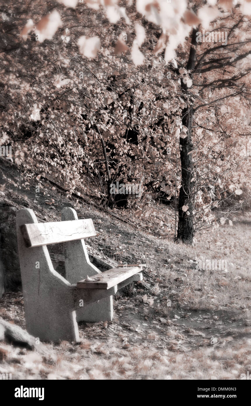 Still life with autumn. rest on the bench Stock Photo - Alamy