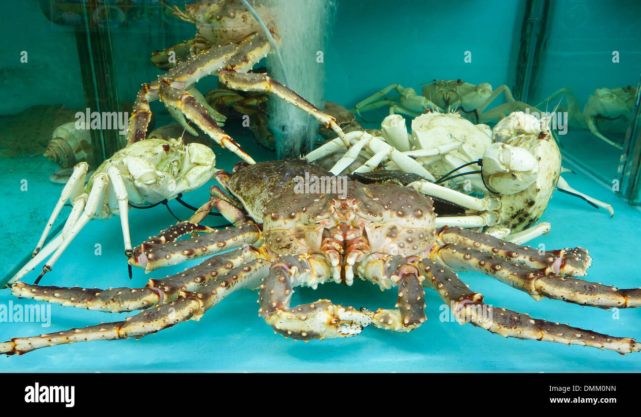 Live Crabs Stock Photos & Live Crabs Stock Images - Alamy