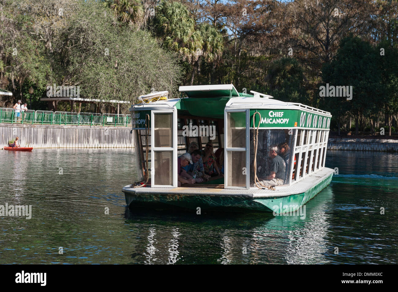Glass Bottom Boat Florida Springs at Beulah Insley blog