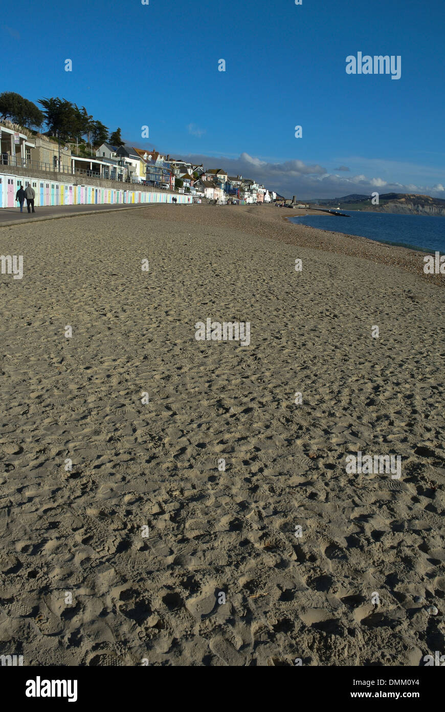 Sand and pebbles at Lyme Regis Stock Photo - Alamy