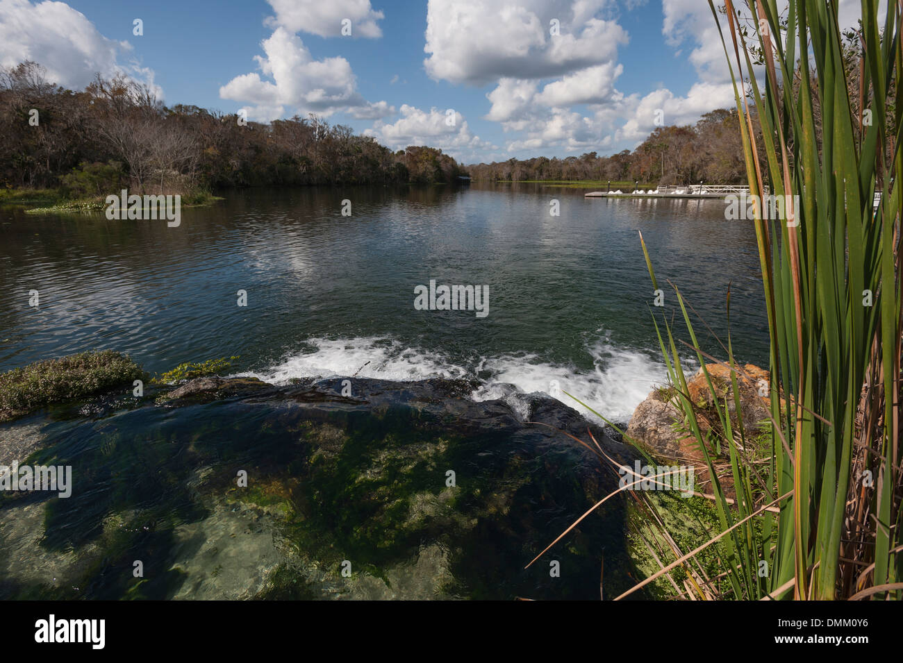 Springs state park hi-res stock photography and images - Alamy