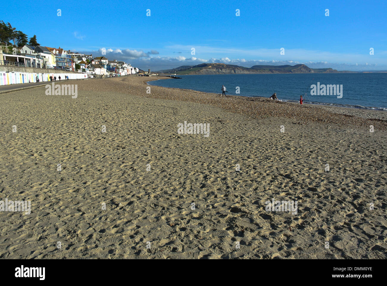 Sand and pebbles at Lyme Regis Stock Photo - Alamy