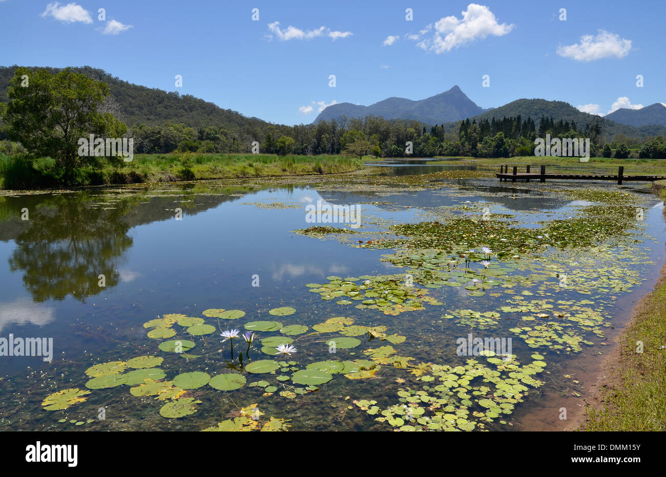 view of mount warning across the clarrie hall dam reservoir Stock Photo ...