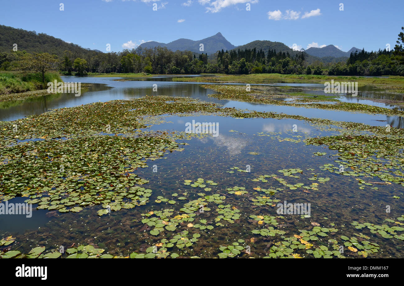 view of mount warning across the clarrie hall dam reservoir Stock Photo ...