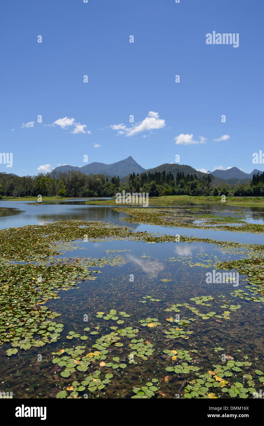 view of mount warning across clarrie hall dam reservoir Stock Photo - Alamy