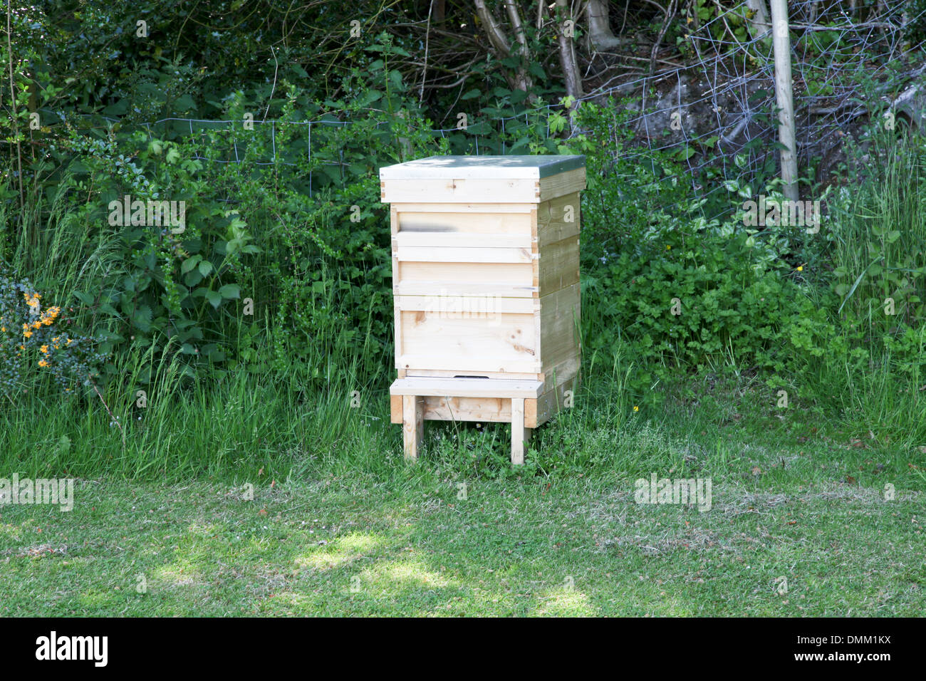 National hive hi-res stock photography and images - Alamy
