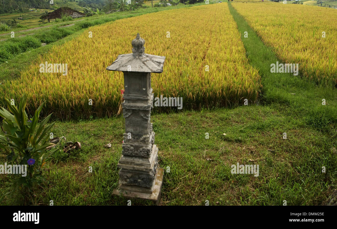 Ubud, Bali, Indonesia. 15th Dec, 2013. Subak is a traditional Balinese ...
