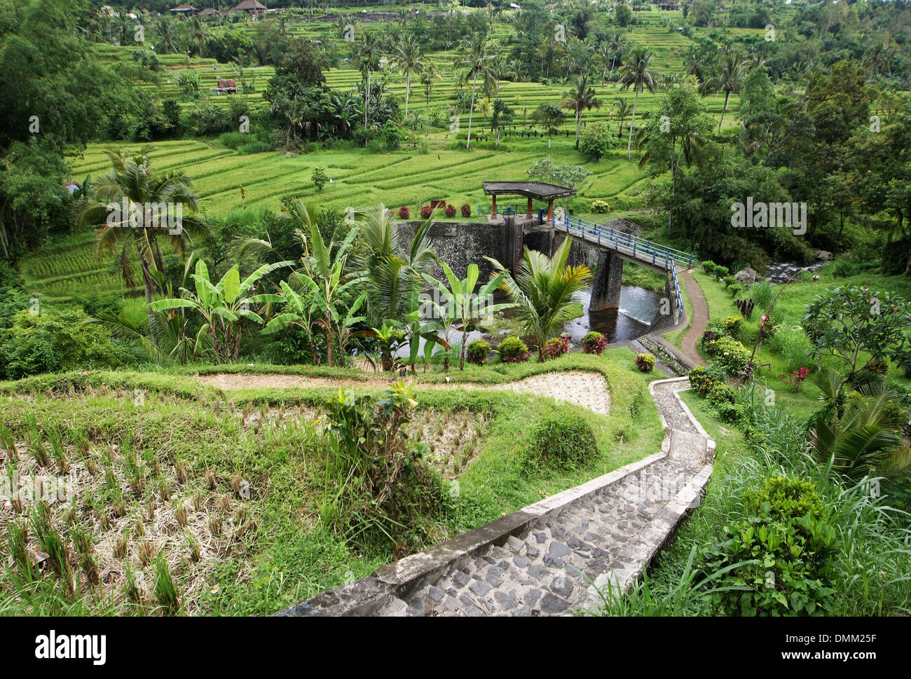Ubud, Bali, Indonesia. 15th Dec, 2013. Subak is a traditional Balinese ...