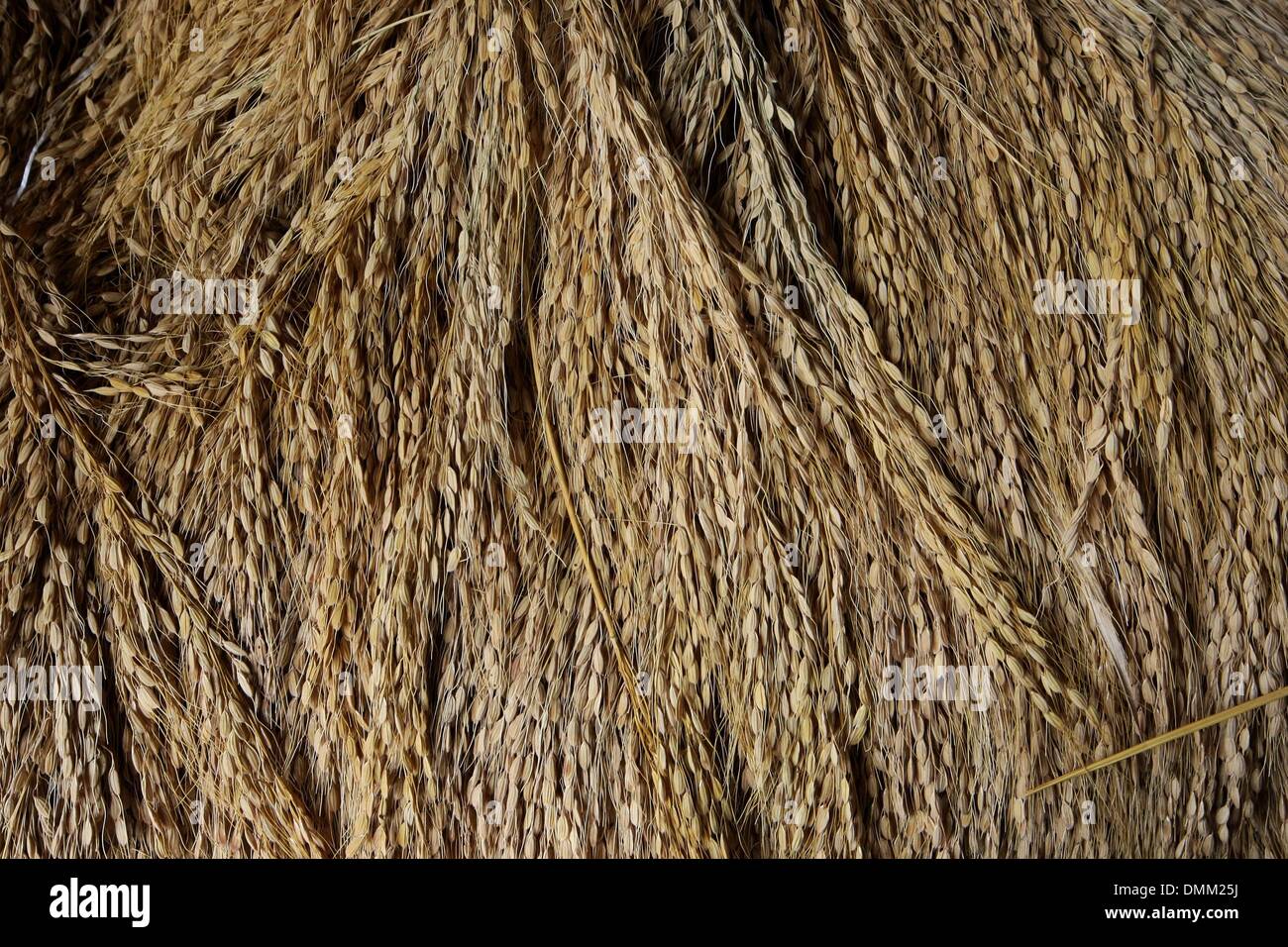 Ubud, Bali, Indonesia. 15th Dec, 2013. Subak is a traditional Balinese ...