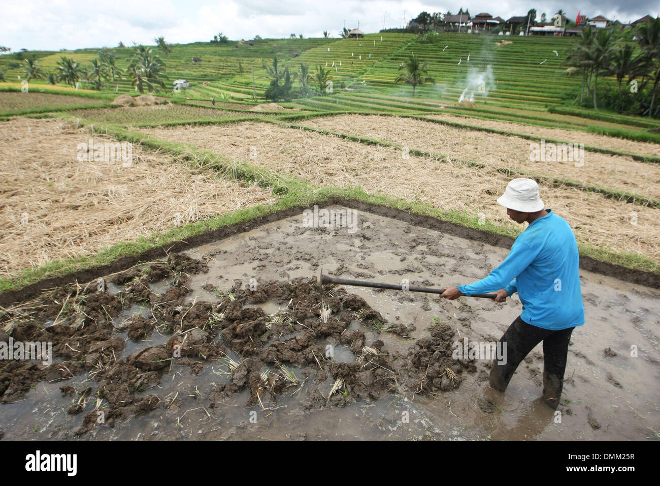 Subak irrigation system hi-res stock photography and images - Alamy