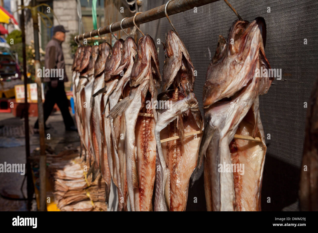 Sun-dried whole cod fish hanging at Jagalchi shijang (traditional ...