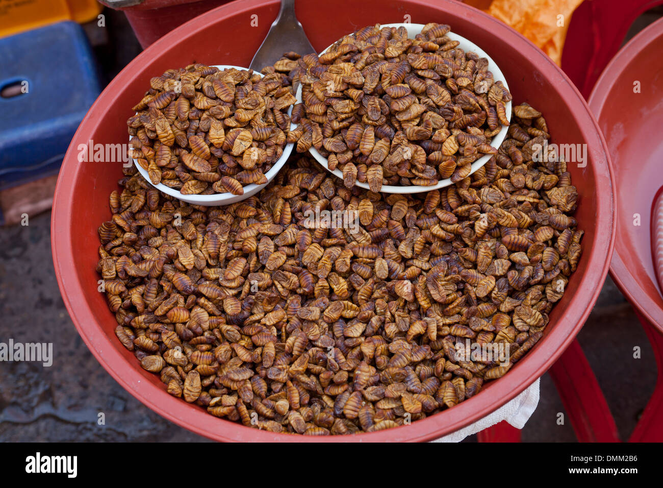 Steamed chrysalis snack at shijang (traditional outdoor market) - Busan ...