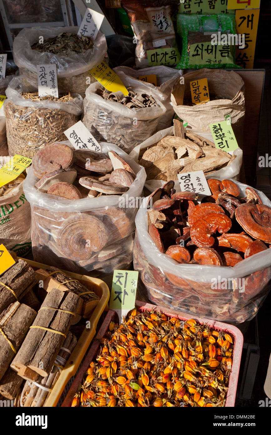 Traditional Korean herbal medicine ingredients at market - Busan, South ... Traditional Korean herbal medicine ingredients at market - Busan, South ...