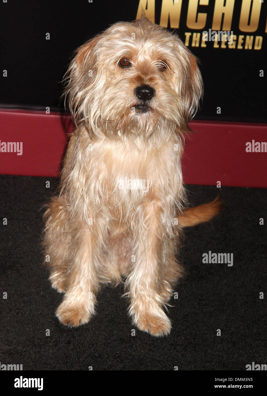 Baxter anchorman hi-res stock photography and images - Alamy