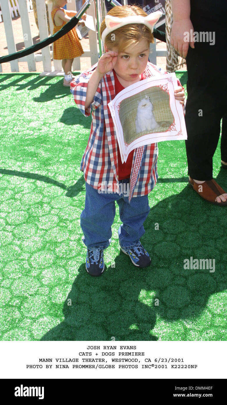 Josh Ryan Evans Body