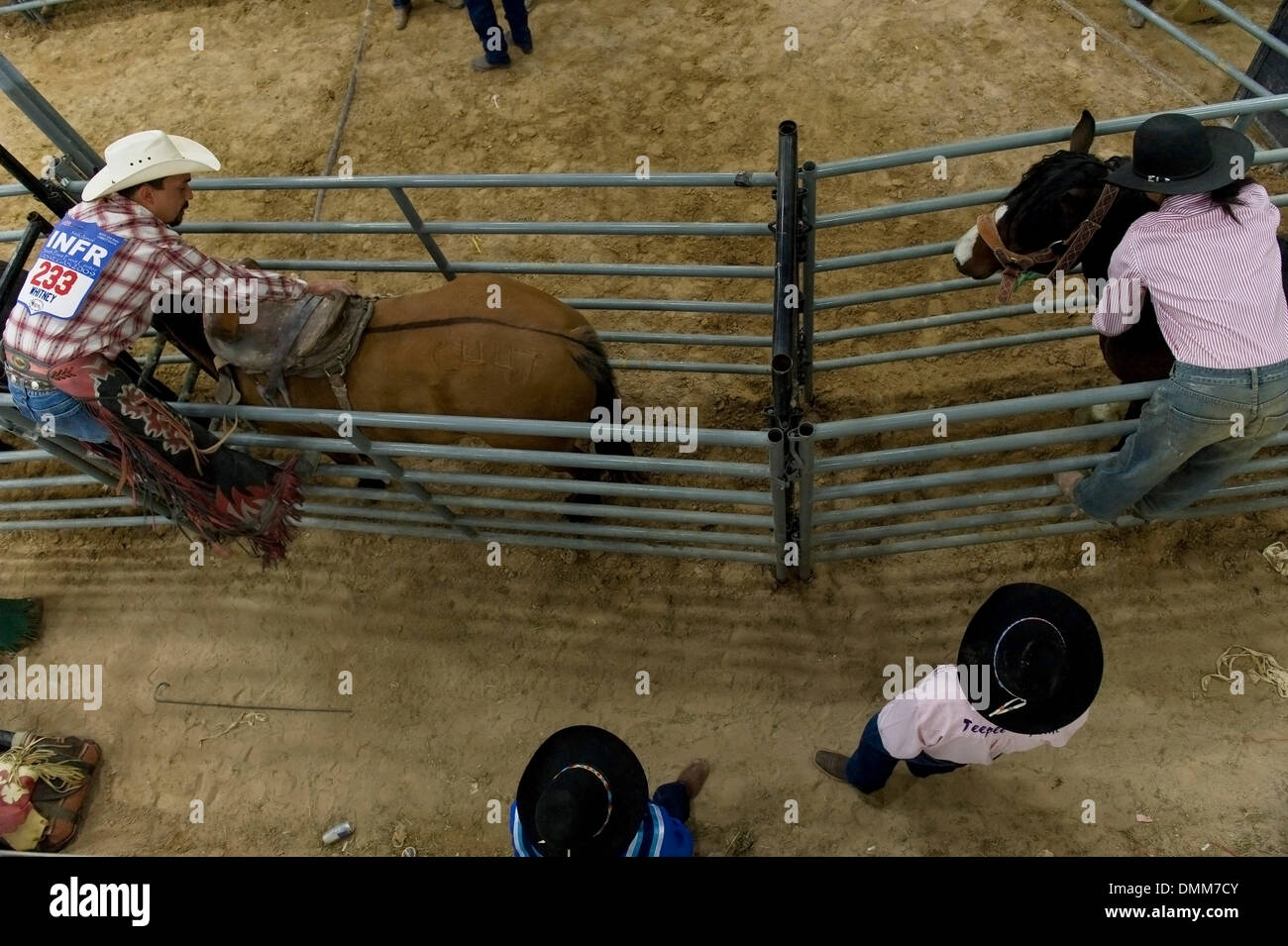 Indian national finals rodeo hi-res stock photography and images - Alamy